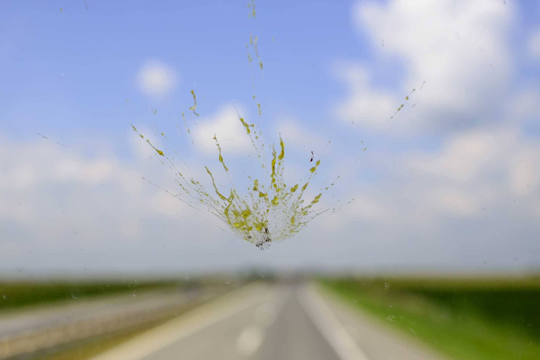 Bug Removers In Tunnel Car Wash — Warsaw Chemical